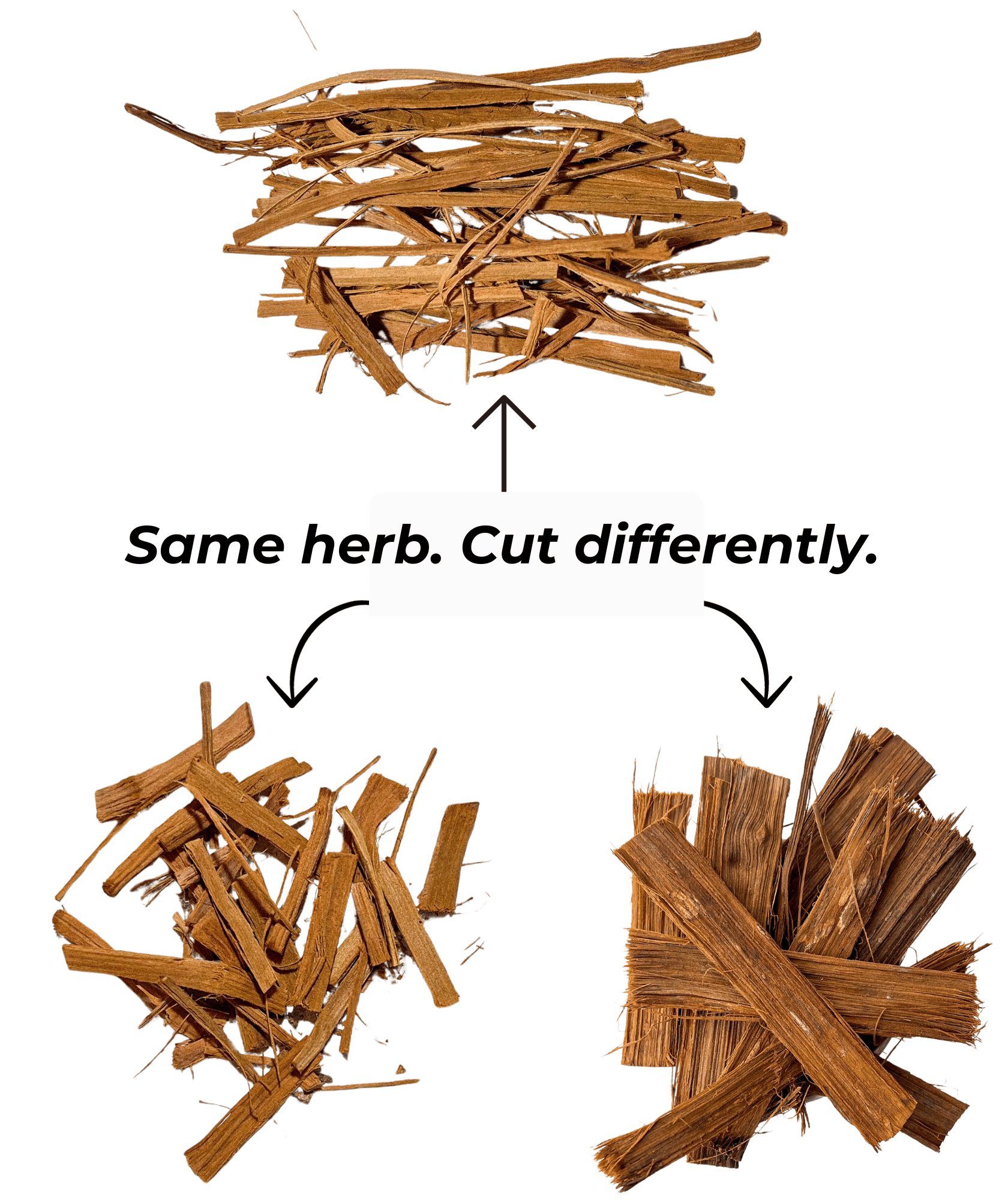 Cat's Claw - Alkaline Amazonian Herb – The Electric Eats